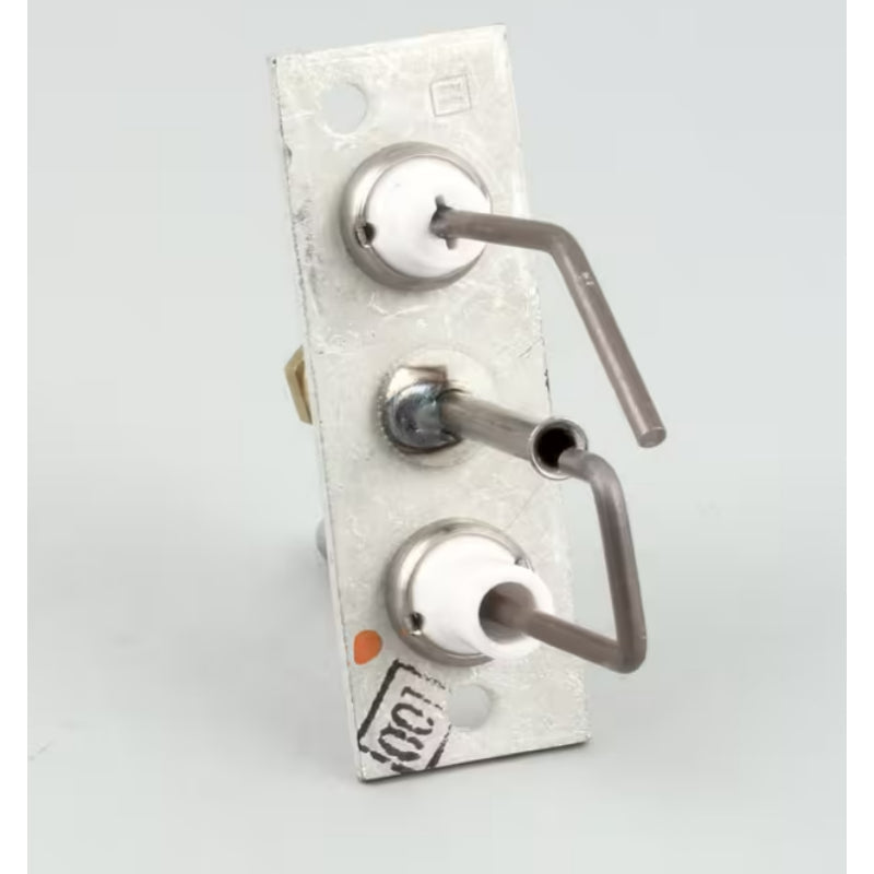 Cleveland 0566A2-1245 Ignitor/Flame Sensor Assembly, Rotisserie ...